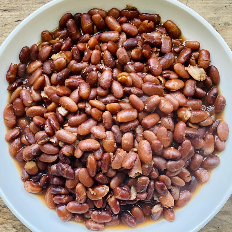 Basic Dried Pinto Beans – Instant Pot