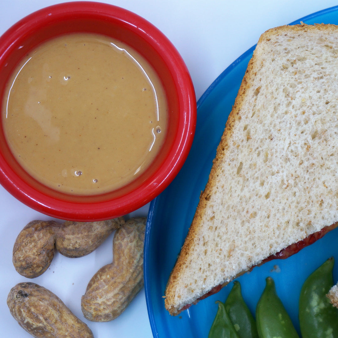 Ace Blender - Peanut Butter – Instant Pot